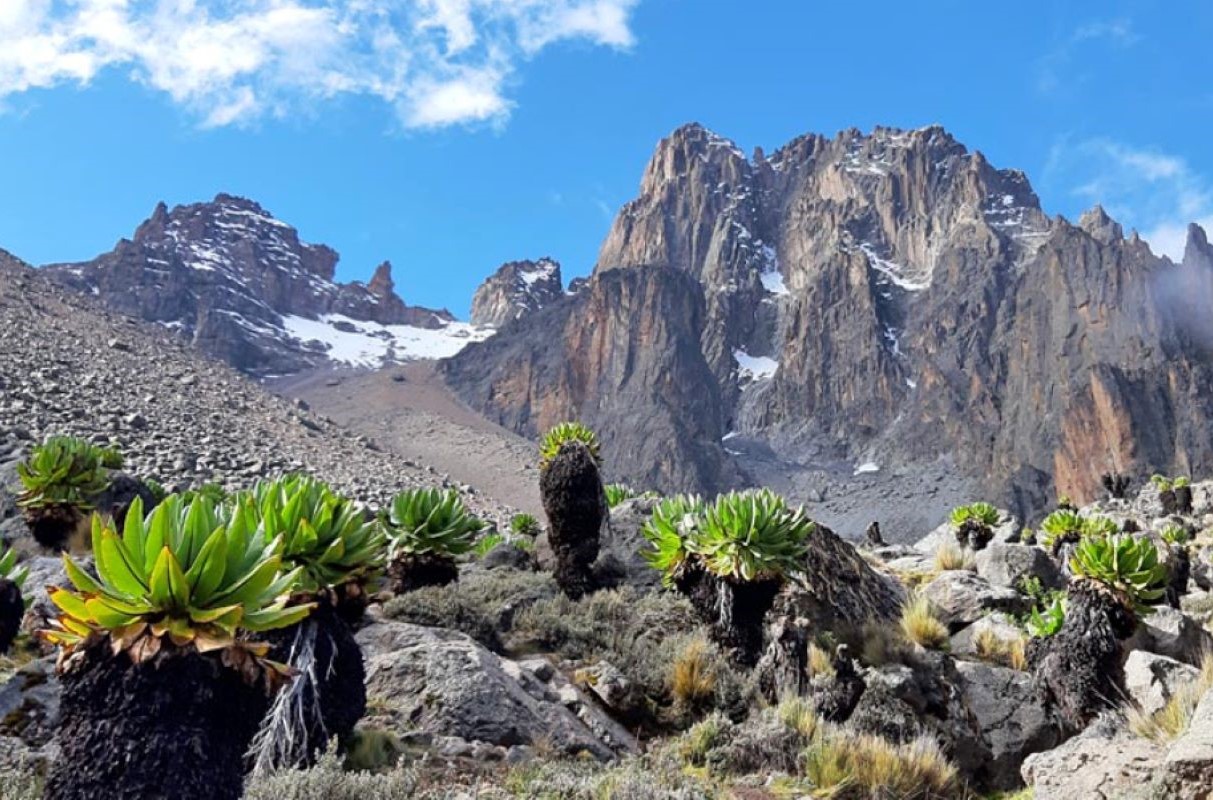 4 Days, 3 Nights Mt Kenya Climbing | Delight Rose Safaris